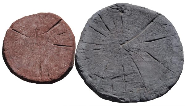 Tree Stump – Concrete Creations